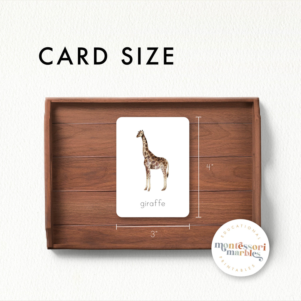 Safari Animals Nomenclature Cards | Montessori 3-Part Cards Ages 5-8 ...
