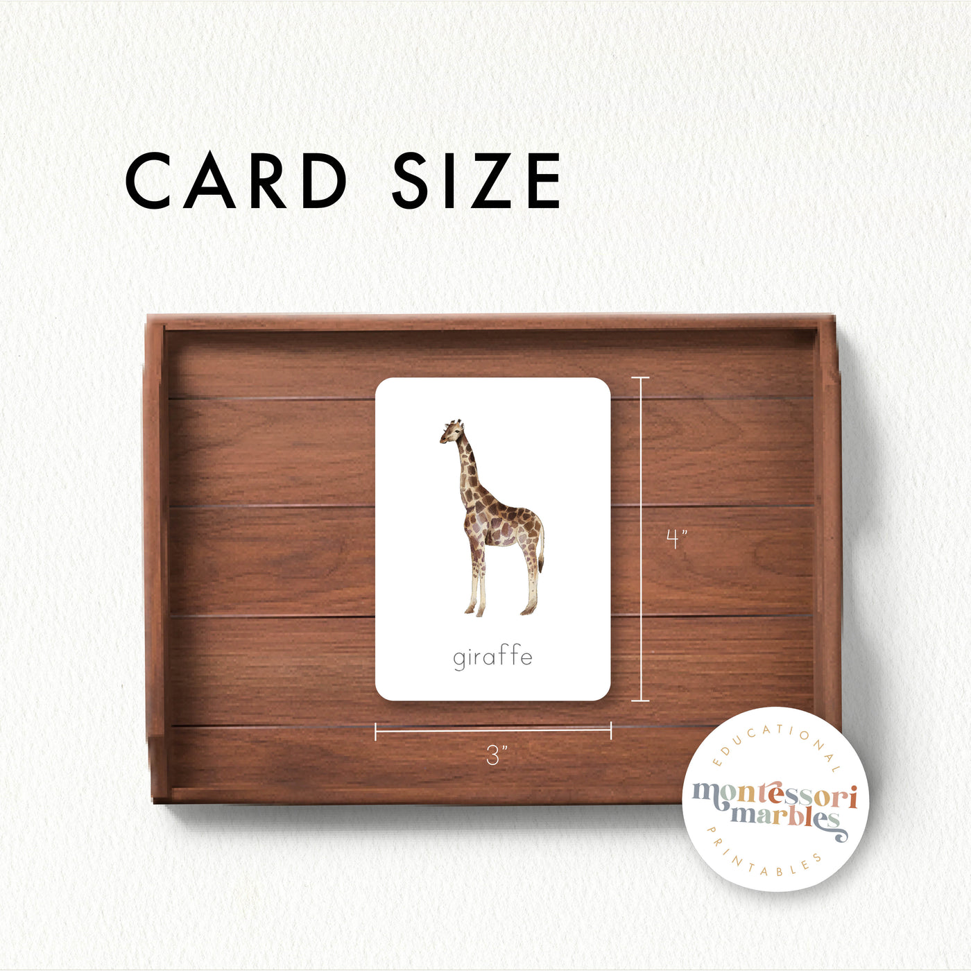 Safari Animals Nomenclature Cards | Montessori 3-Part Cards Ages 5-8 ...