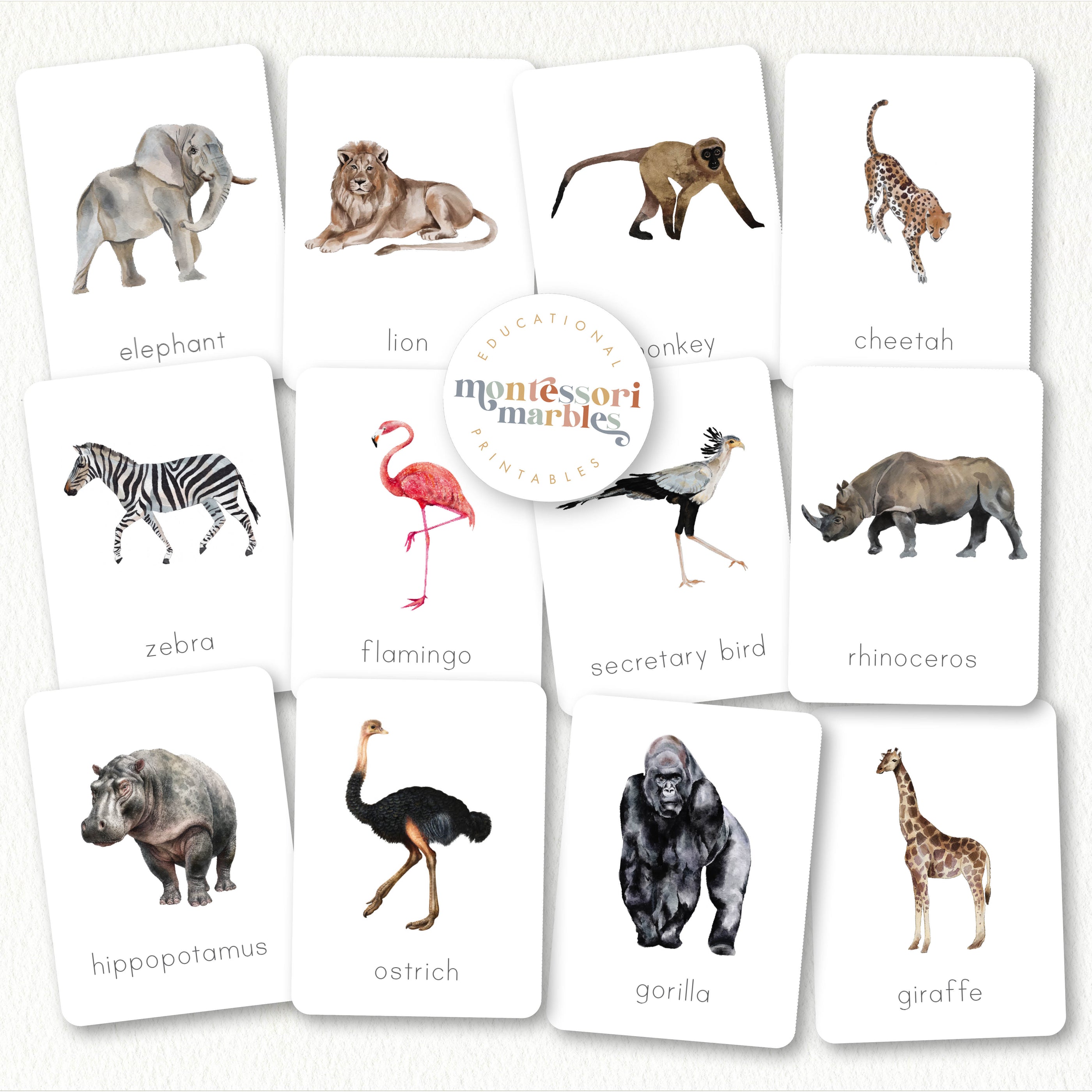 Safari Animals Flash Cards | Montessori Inspired Printables ...