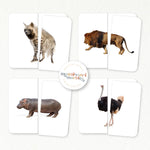 Safari Animals Two-Piece Puzzles | Visual Skills Ages 3-6 PDF ...