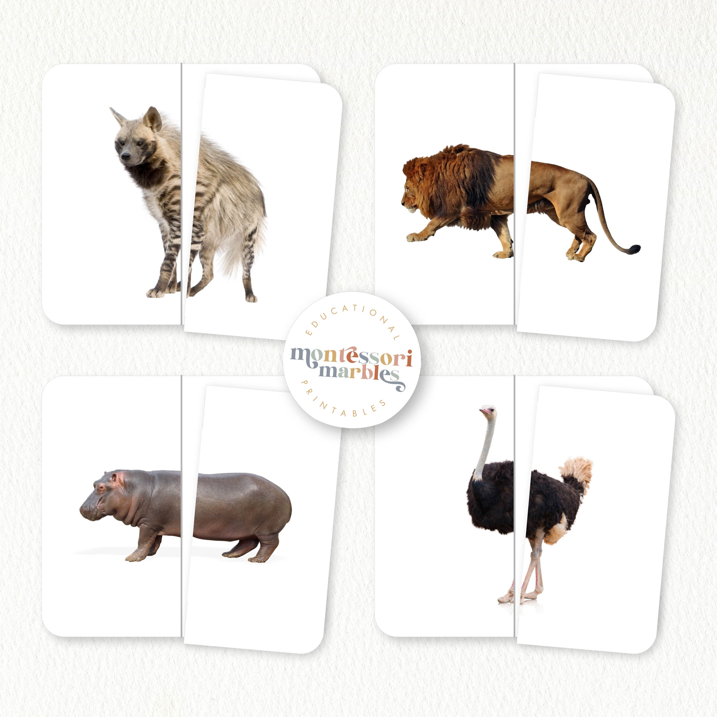 Safari Animals Two-Piece Puzzles | Visual Skills Ages 3-6 PDF ...