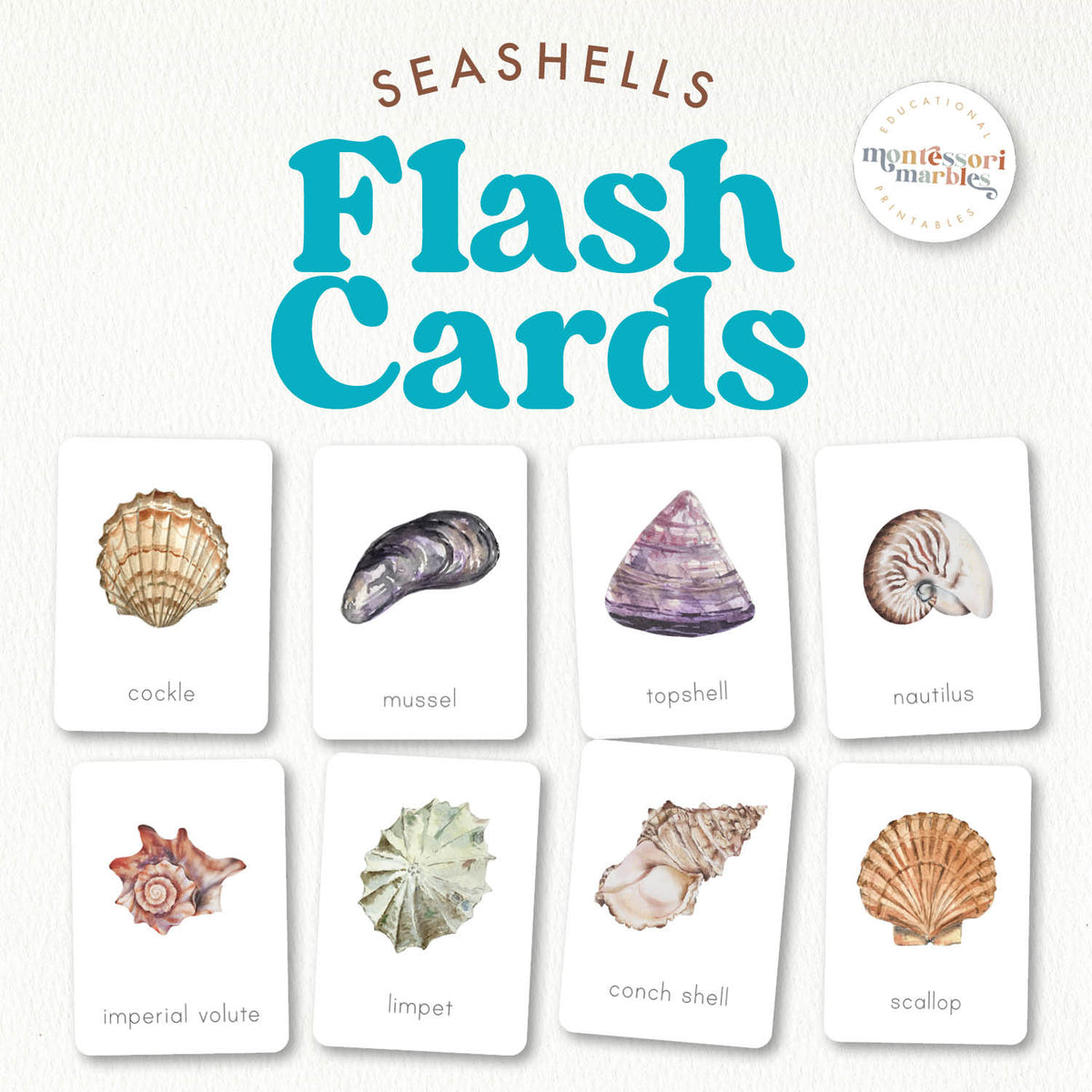 Seashells Flash Cards | Ocean Vocabulary Watercolor Ages 3-8 PDF ...
