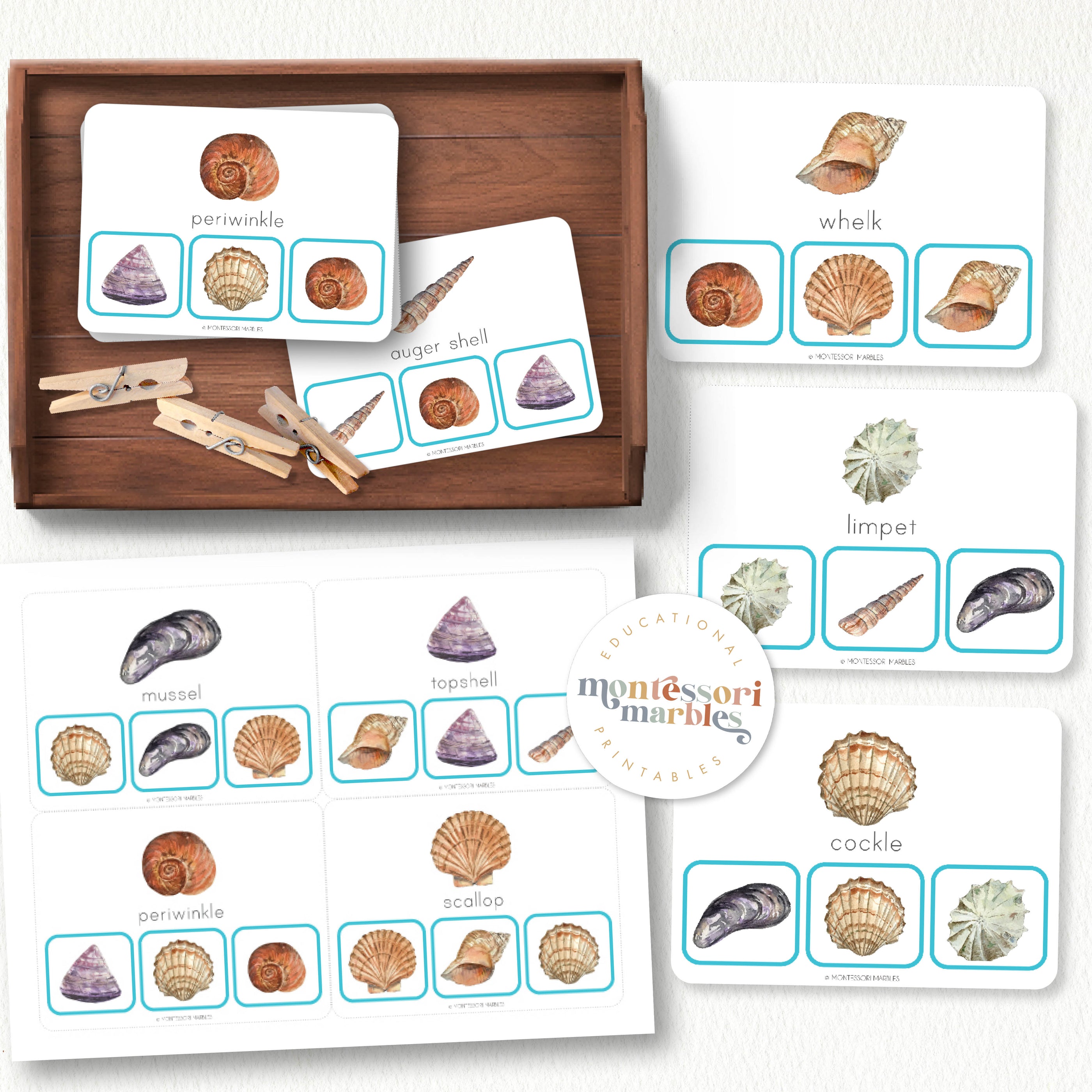 Seashells Picture Matching Clip Cards | Ocean Animals Fine Motor ...