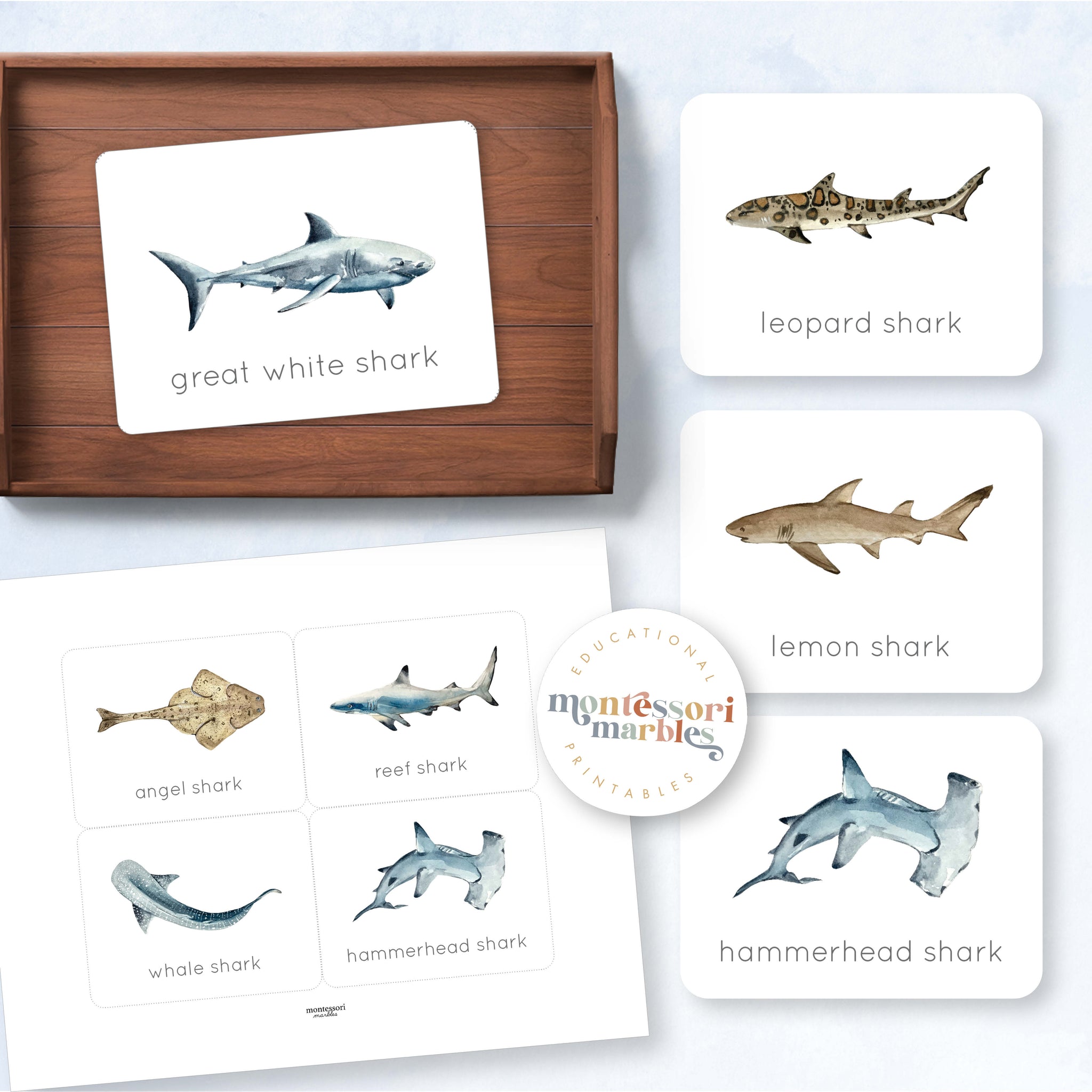 Sharks — Montessori Marbles