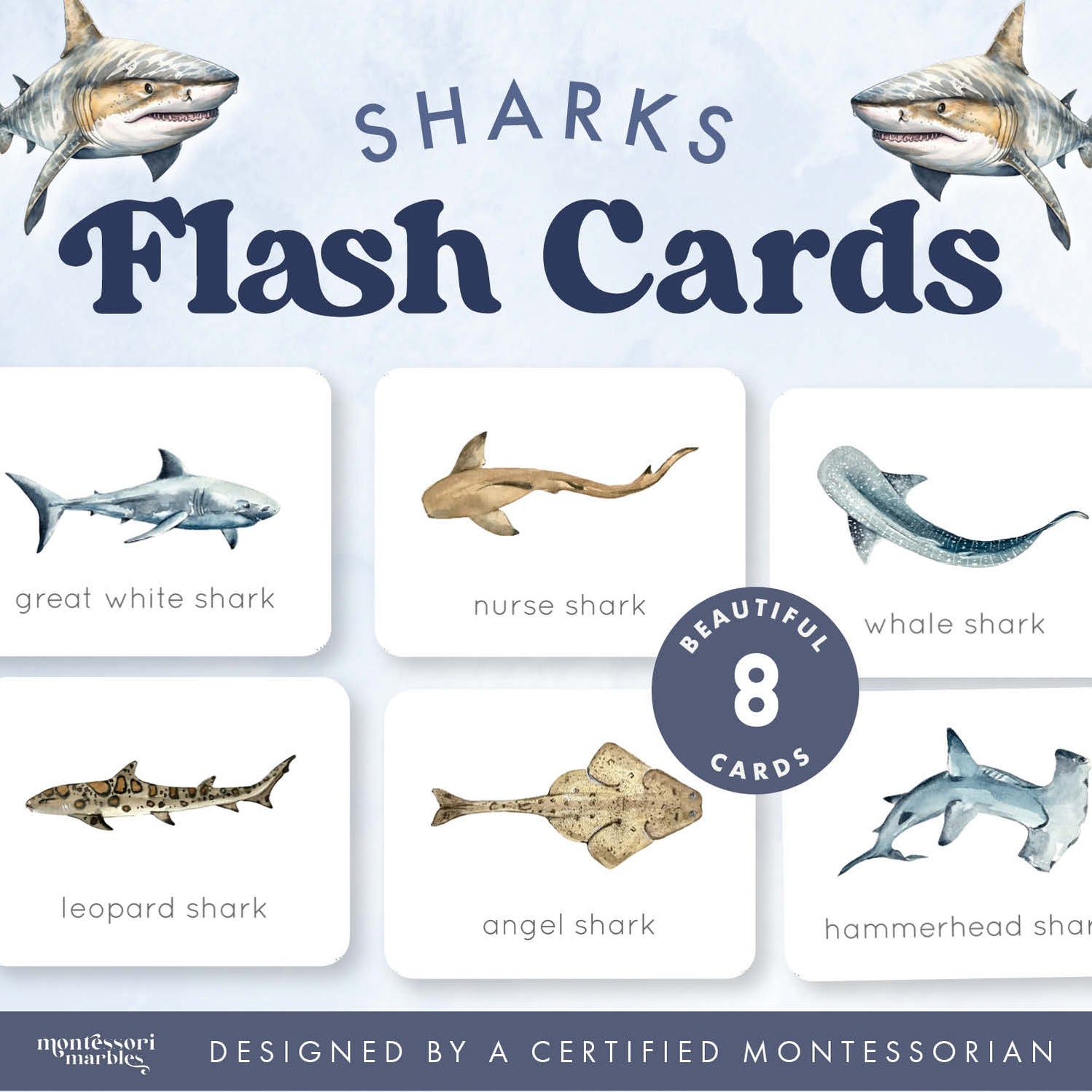 Sharks Flash Cards | 8 Species Watercolor Art Ages 5-10 | Marine PDF ...