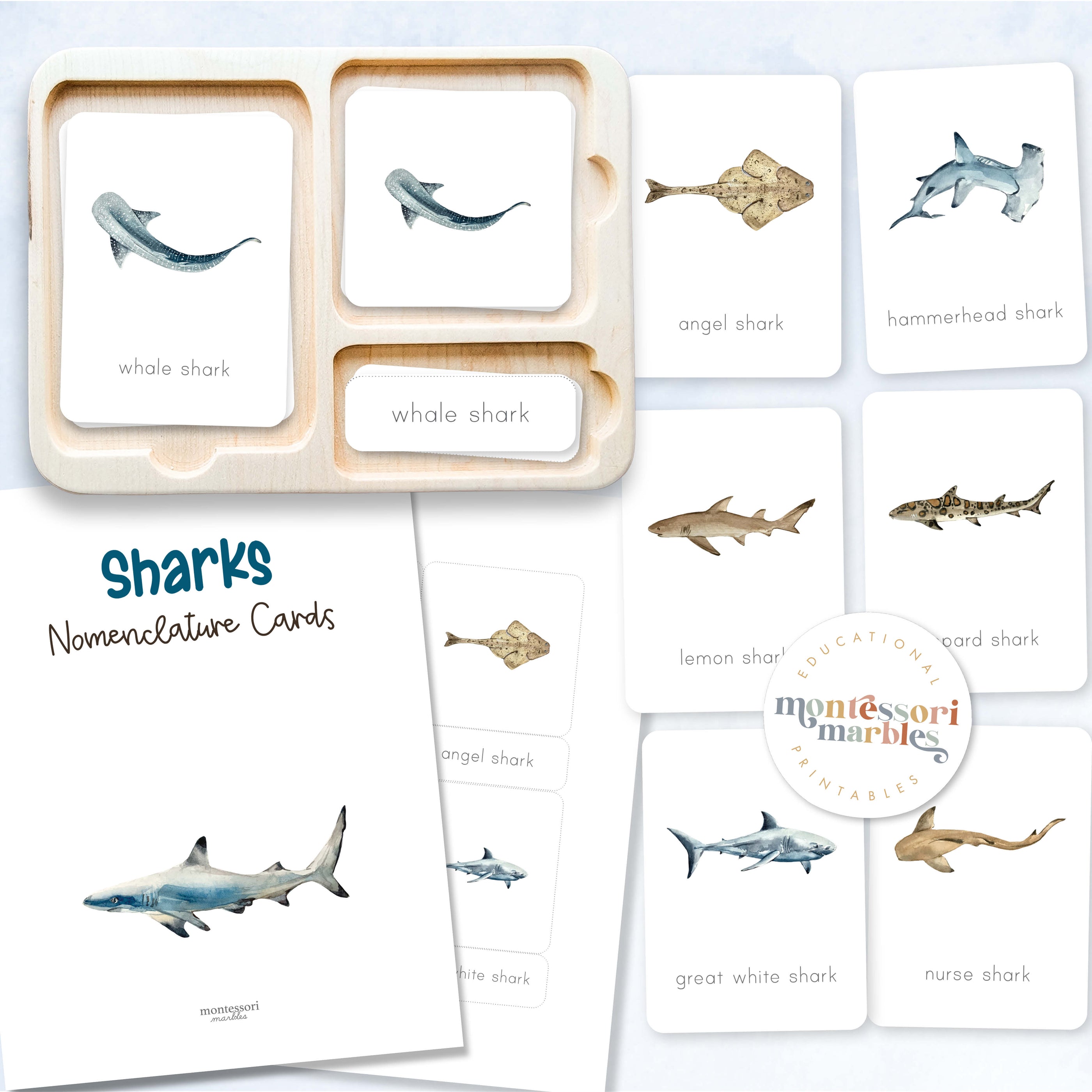 Sharks Nomenclature Cards | 3-Part Cards Ages 3-6 | Marine Biology PDF ...