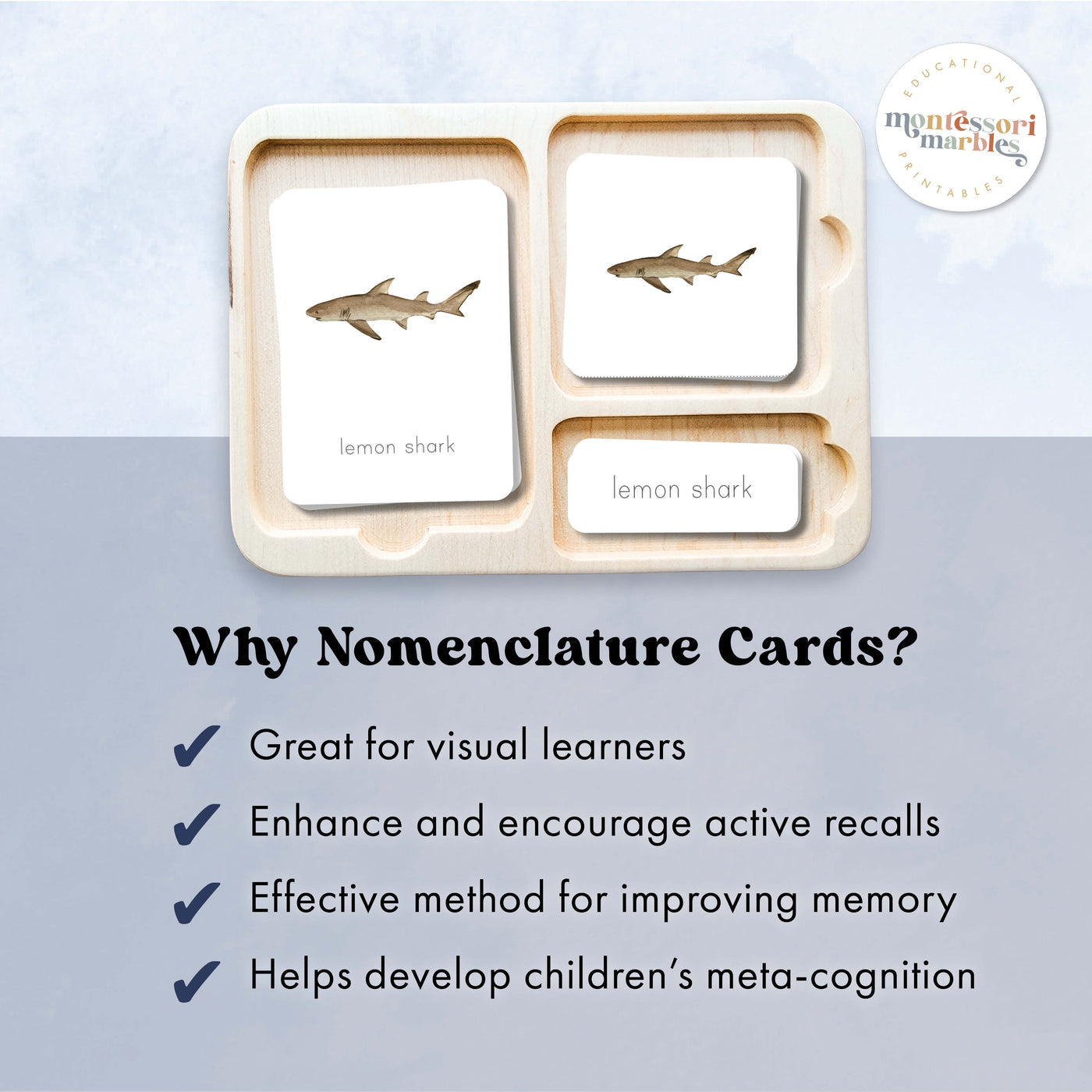 Sharks Nomenclature Cards | Montessori Printable Flash Cards ...