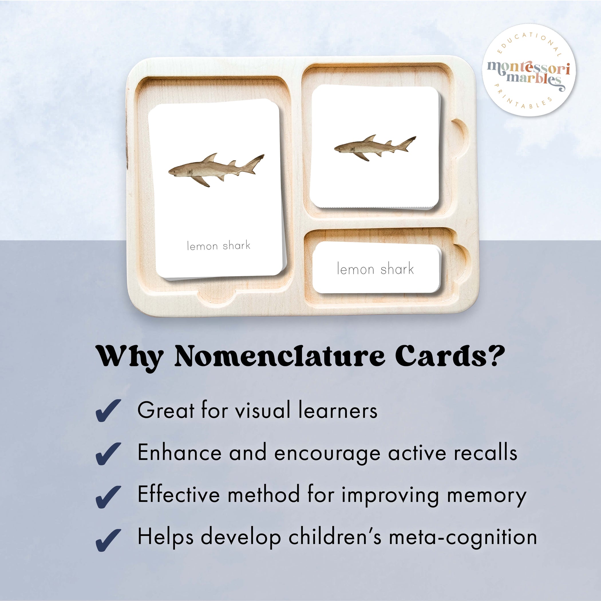 Sharks Nomenclature Cards | 3-Part Cards Ages 3-6 | Marine Biology PDF ...