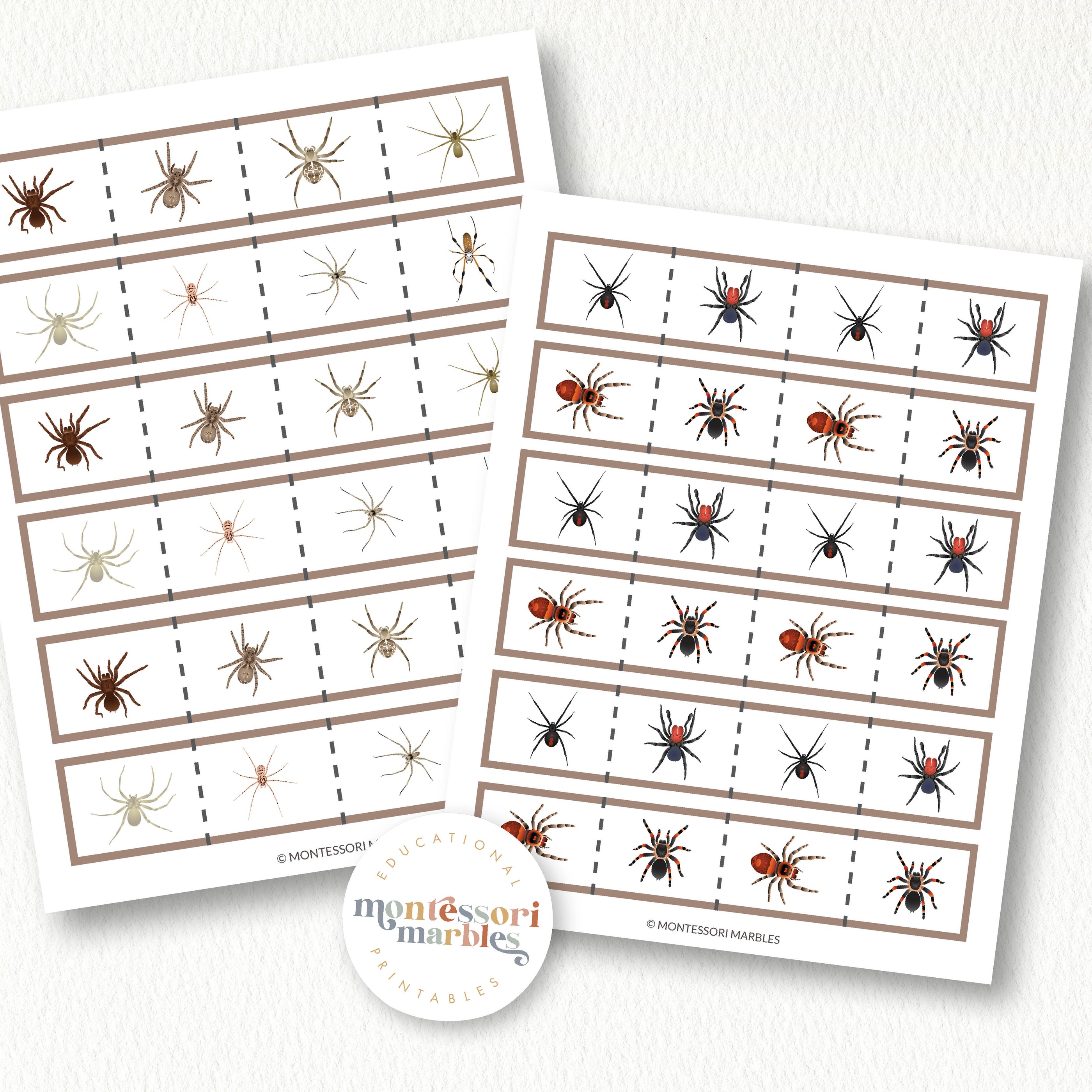 Spiders Cutting Strips | Scissor Practice Ages 2-5 | Fine Motor Skills ...
