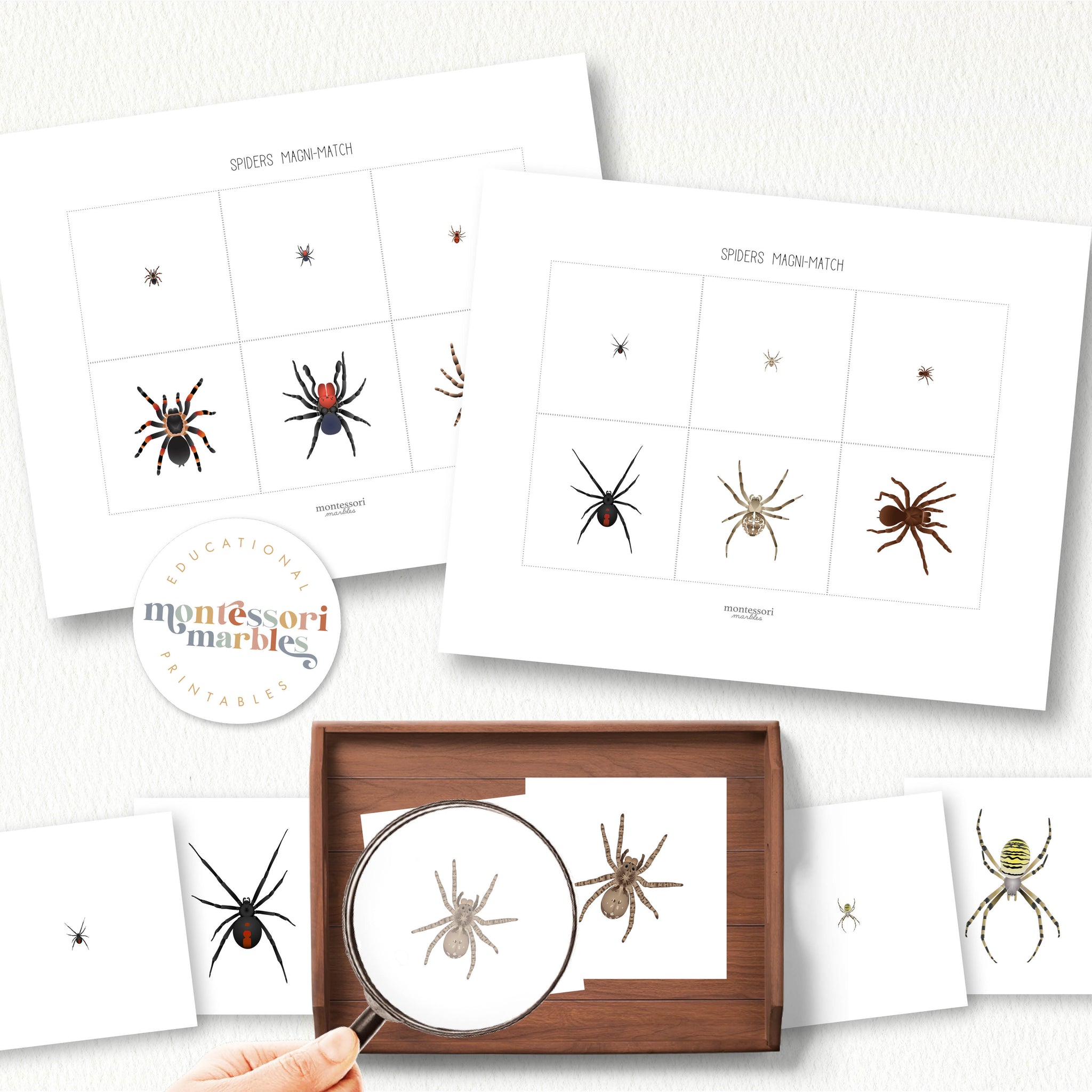 Spiders Magni-Match | Montessori Inspired Activity – Montessori Marbles