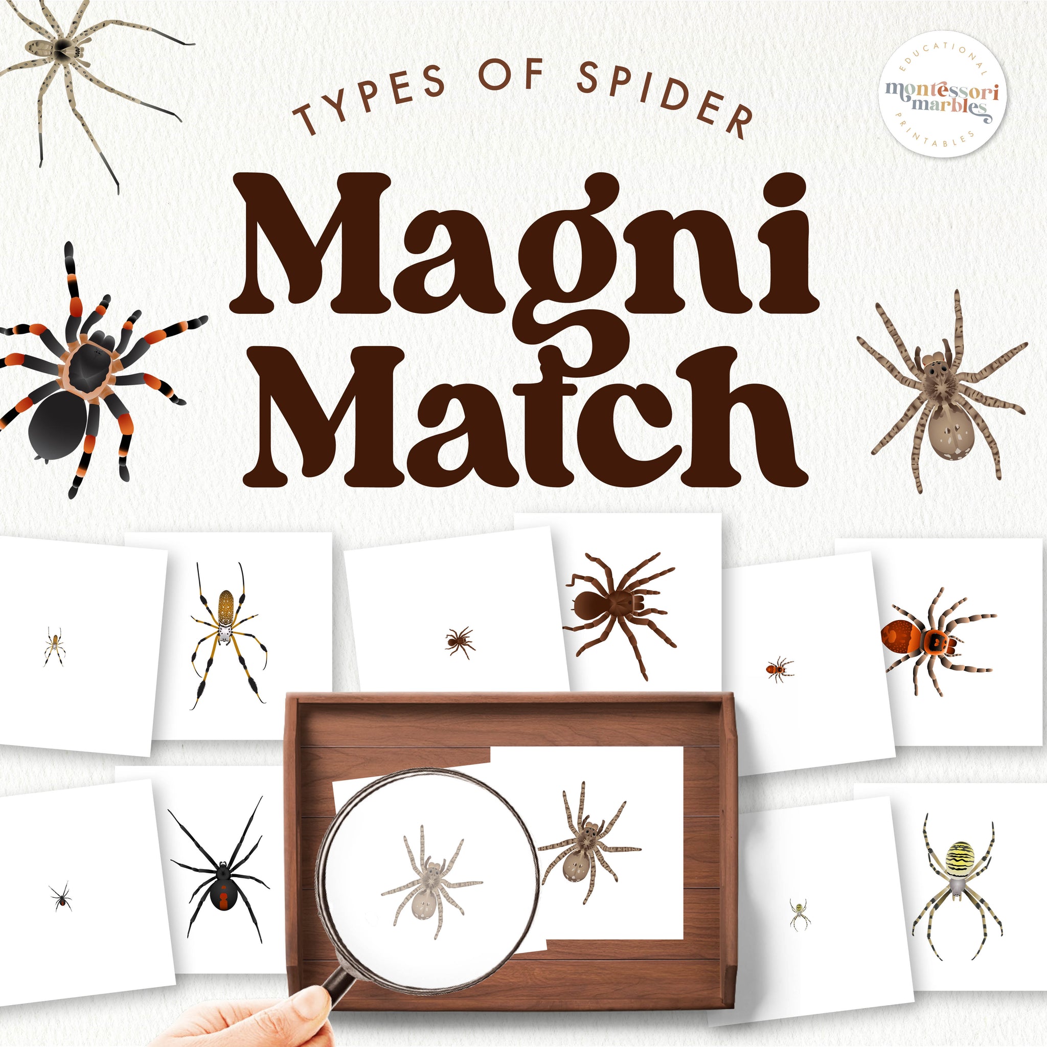 Spiders Magni-Match | Montessori Inspired Activity – Montessori Marbles