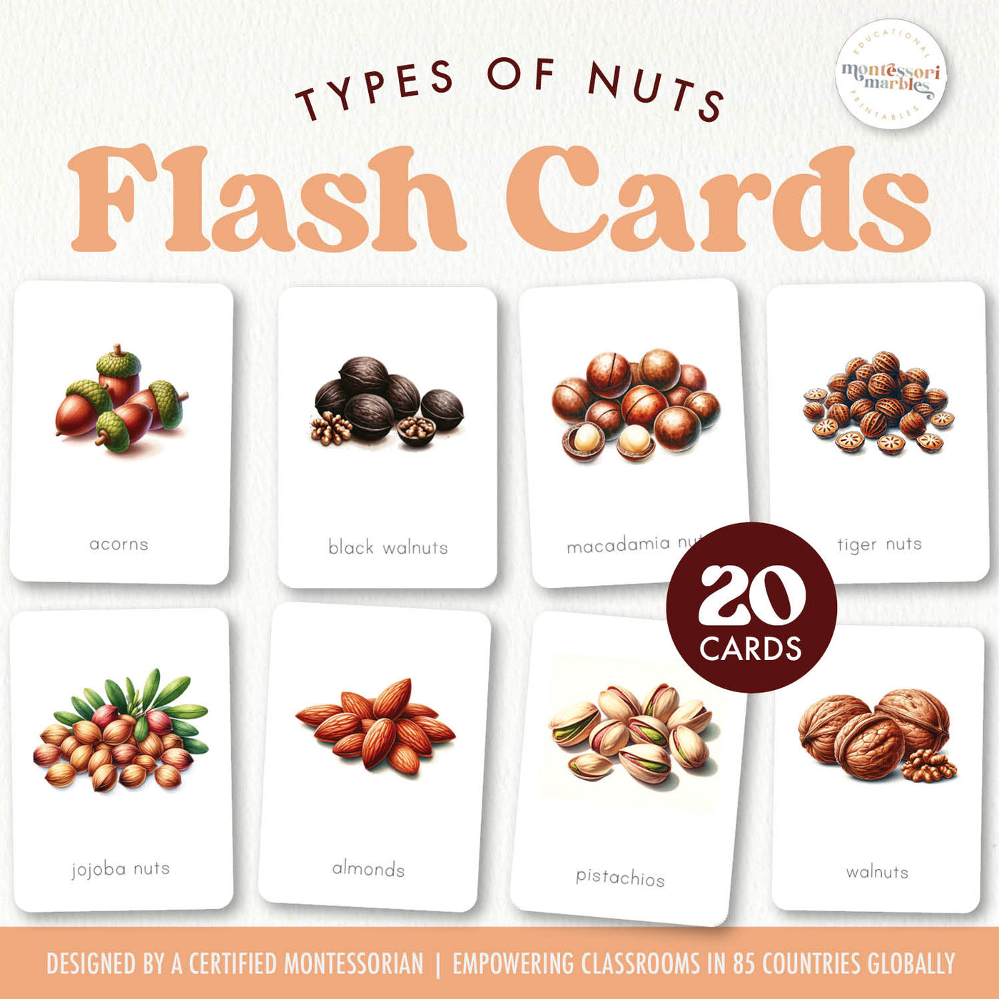 Nuts Flash Cards for Kids | Food Learning Preschool Ages 3-6 ...