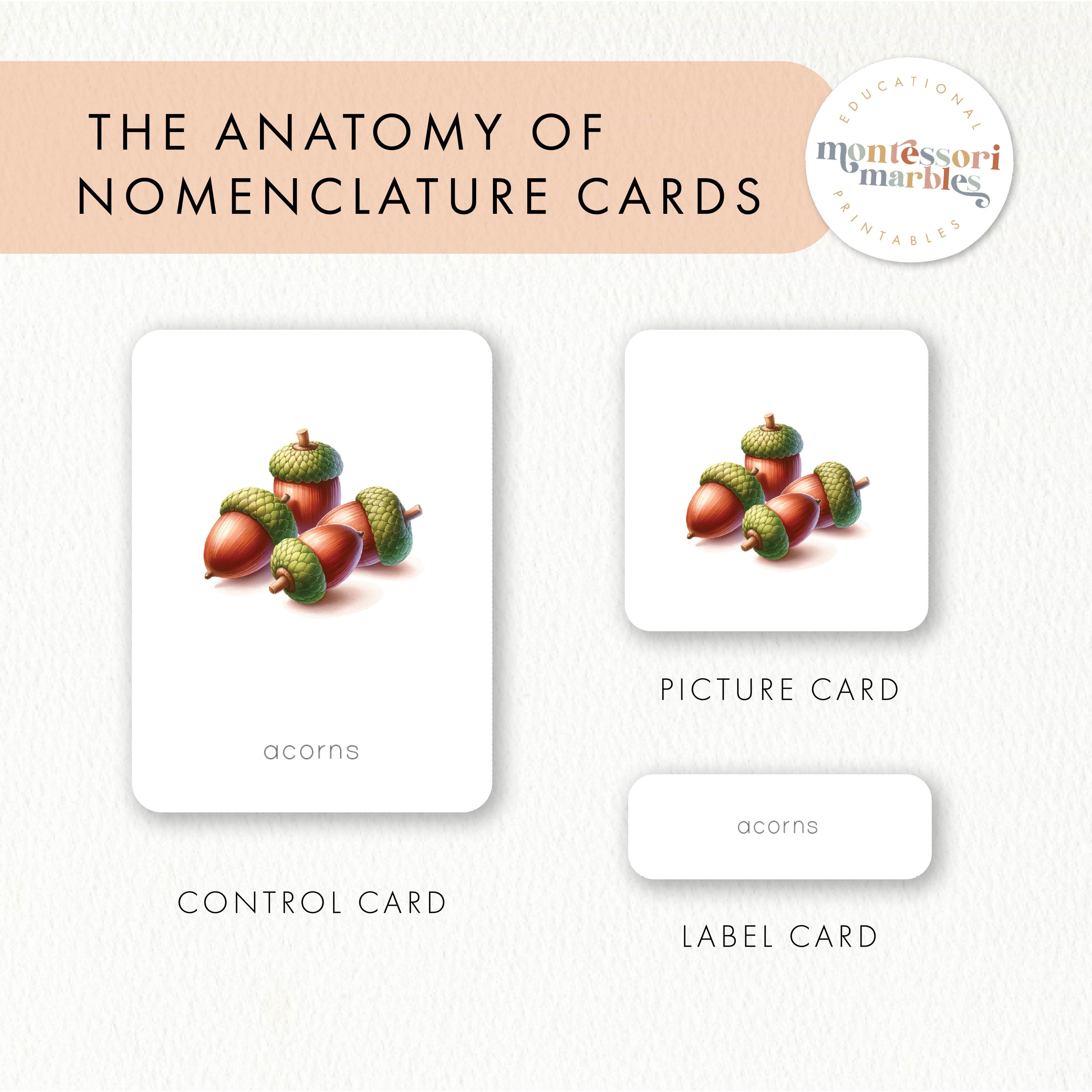 Types of Nuts Nomenclature Cards | Montessori Inspired Printable ...