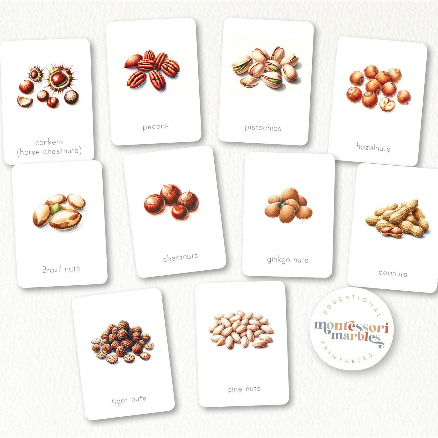 Types of Nuts Nomenclature Cards | Montessori Inspired Printable ...