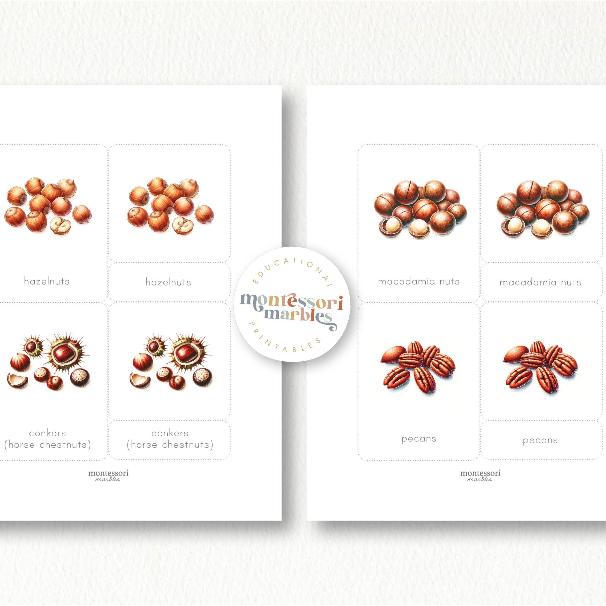 Types of Nuts Nomenclature Cards | Montessori Inspired Printable ...