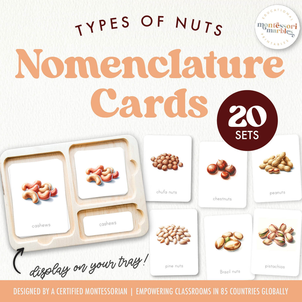 Types of Nuts Nomenclature Cards | Montessori Inspired Printable ...