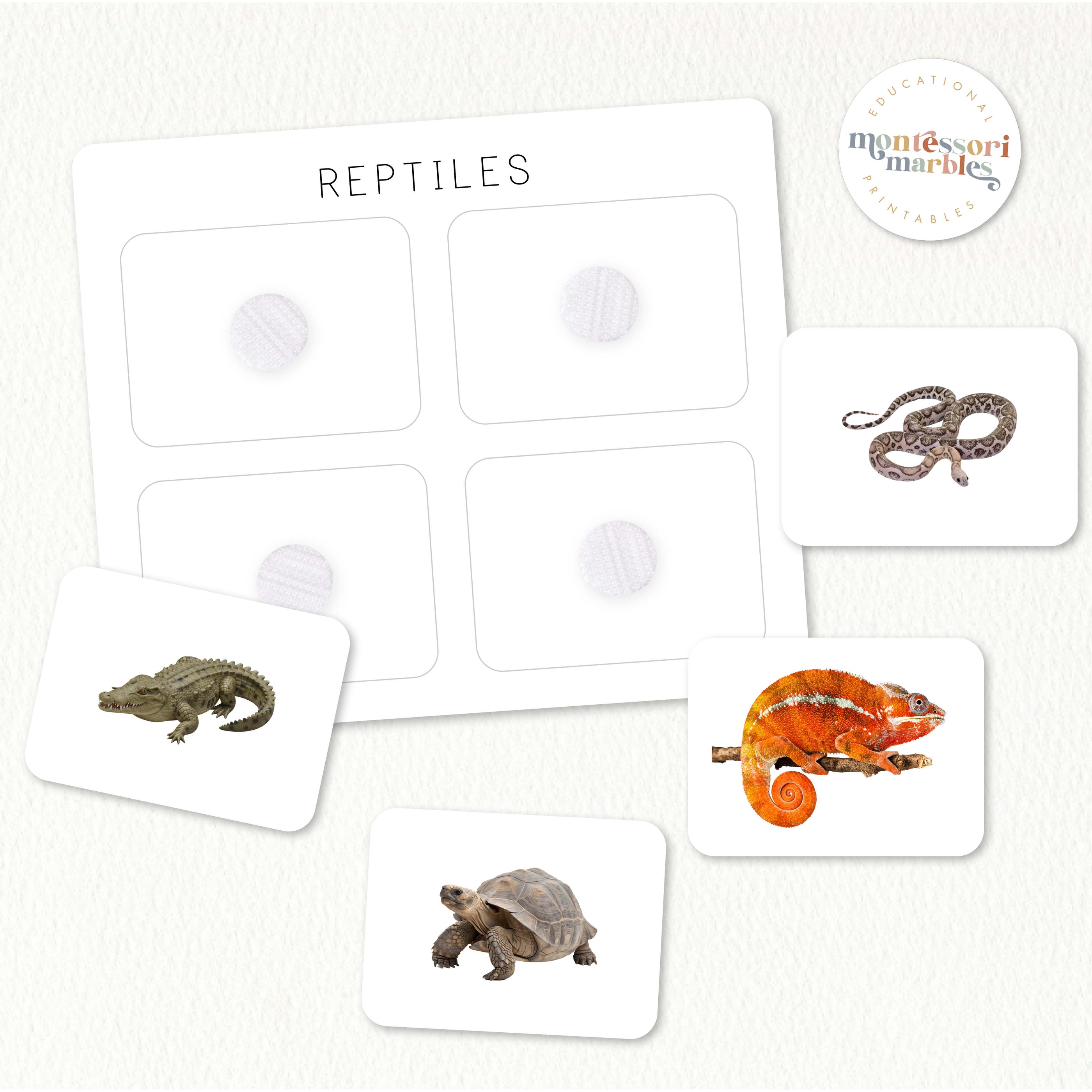 Vertebrates Classification Sorting Cards | Animal Groups Ages 5-9 ...