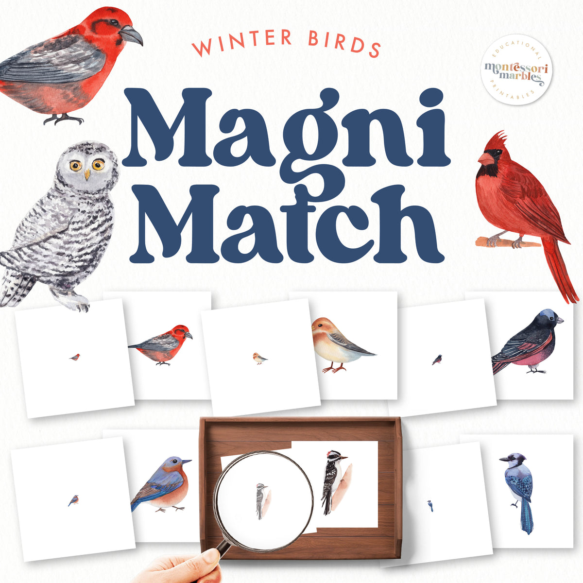 Winter Birds Magni Match | 15 Pairs Magnifying Glass Activity Ages 3-6 ...