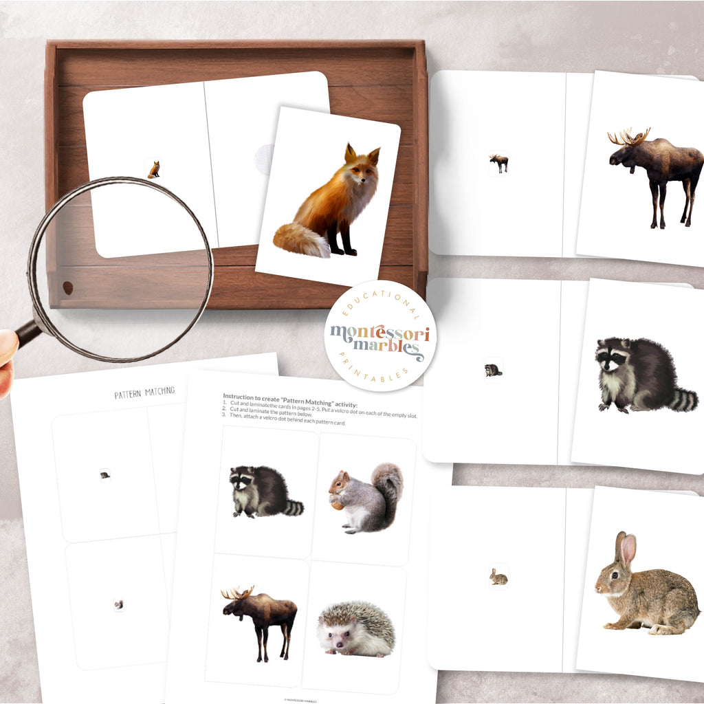 Woodland Animals — Montessori Marbles