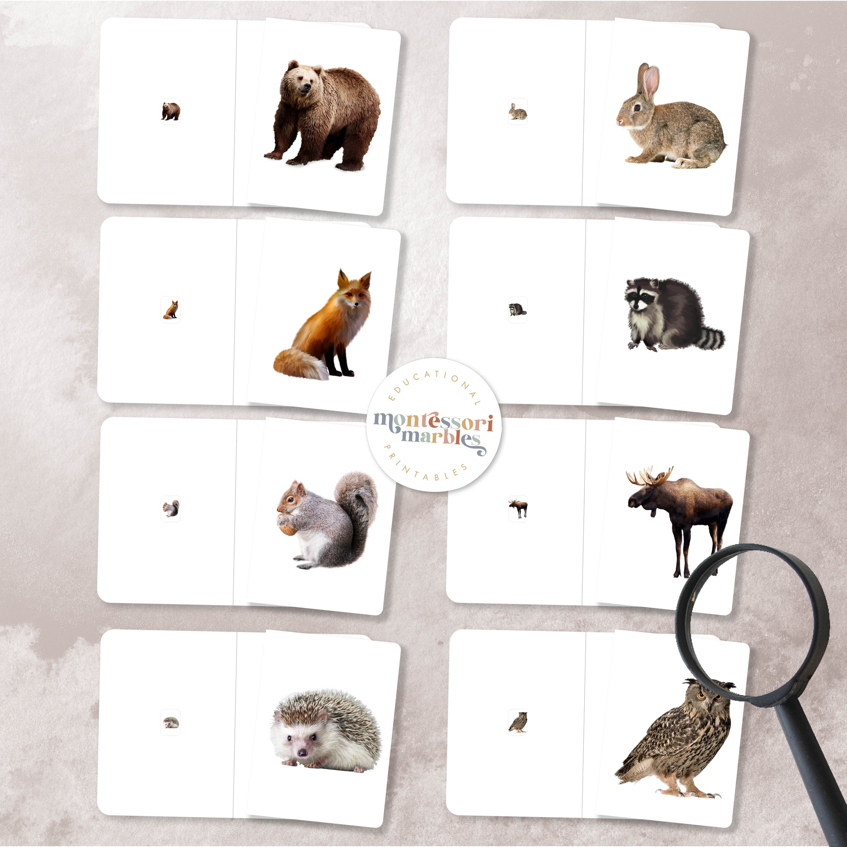 Woodland Animals Magni Match | Magnifying Glass Game Ages 3-6 | Forest ...