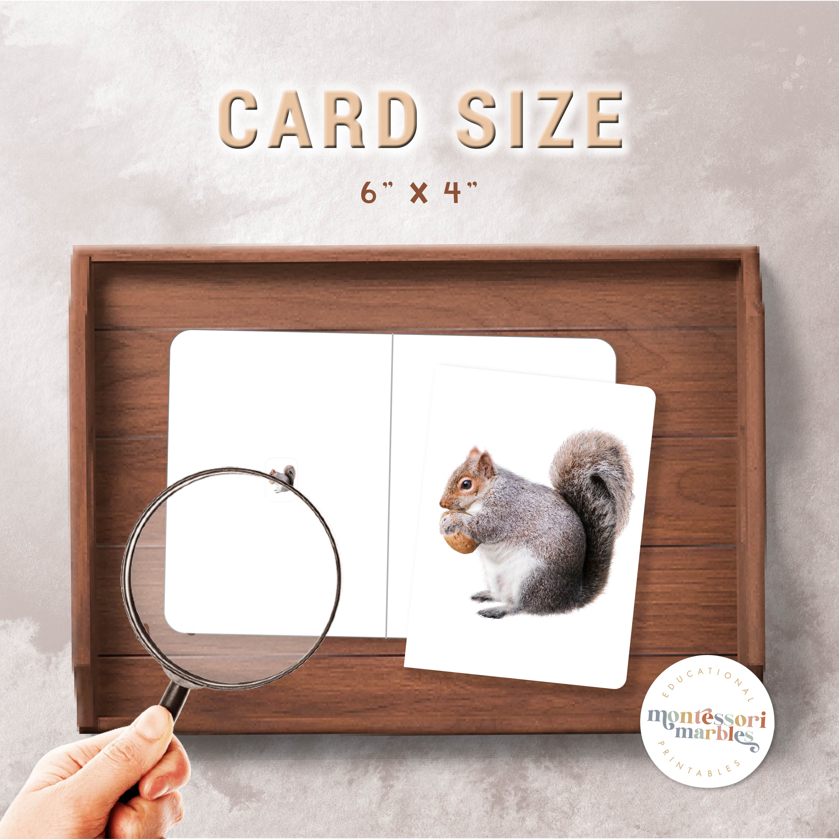 Woodland Animals Magni Match | Magnifying Glass Game Ages 3-6 | Forest ...