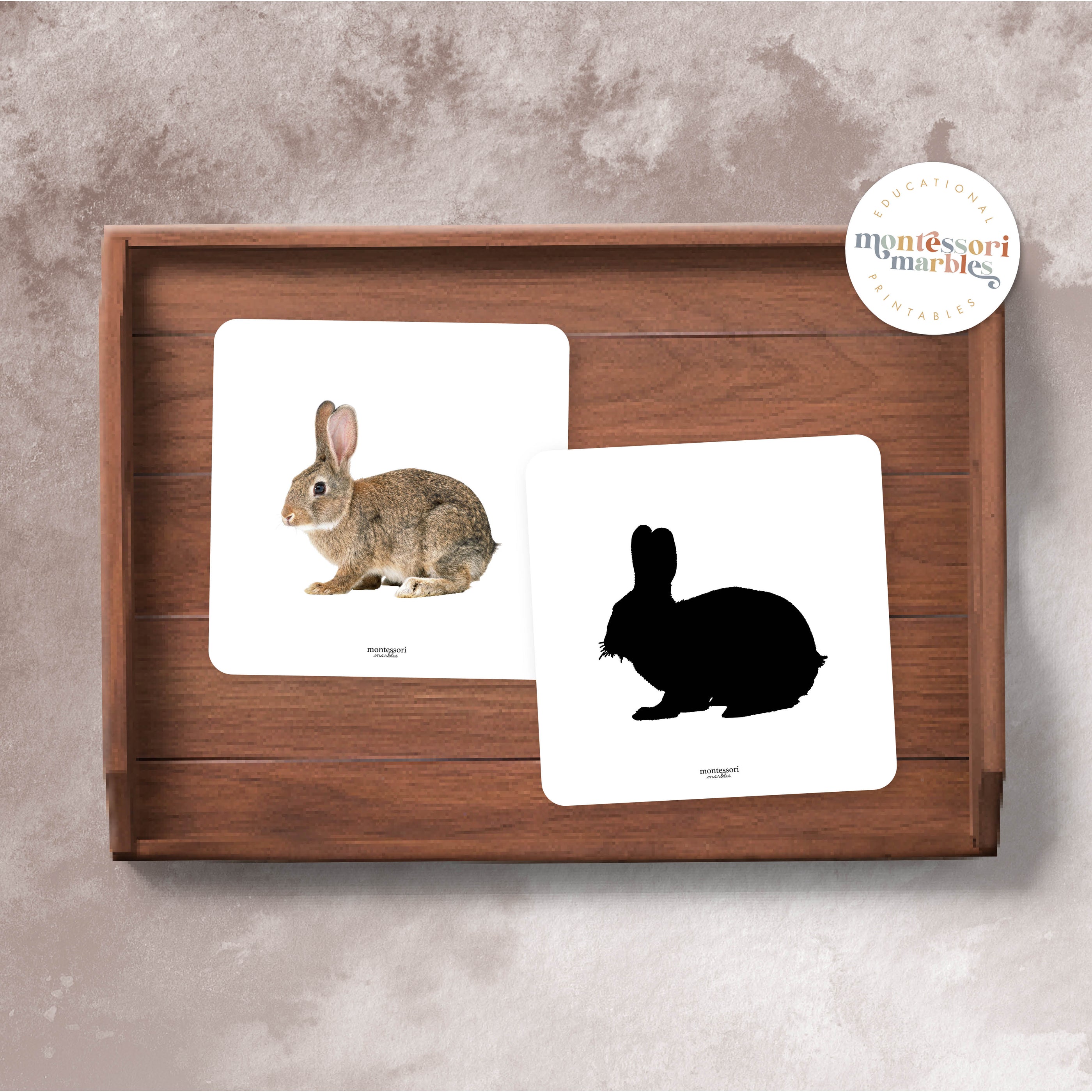 Woodland Animals Shadow Matching | Silhouette Game Ages 3-6 | Forest ...