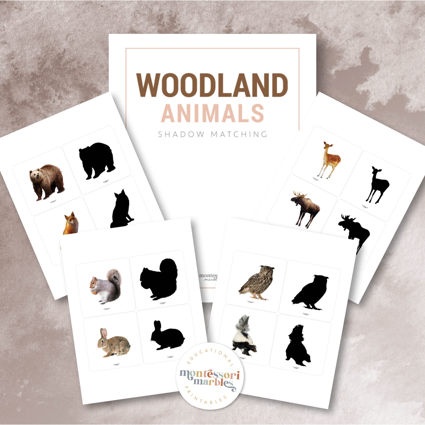 Woodland Animals Shadow Matching | Silhouette Game Ages 3-6 | Forest ...