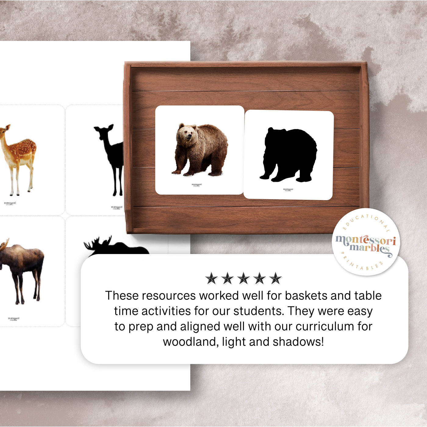 Woodland Animals Shadow Matching | Silhouette Game Ages 3-6 | Forest ...