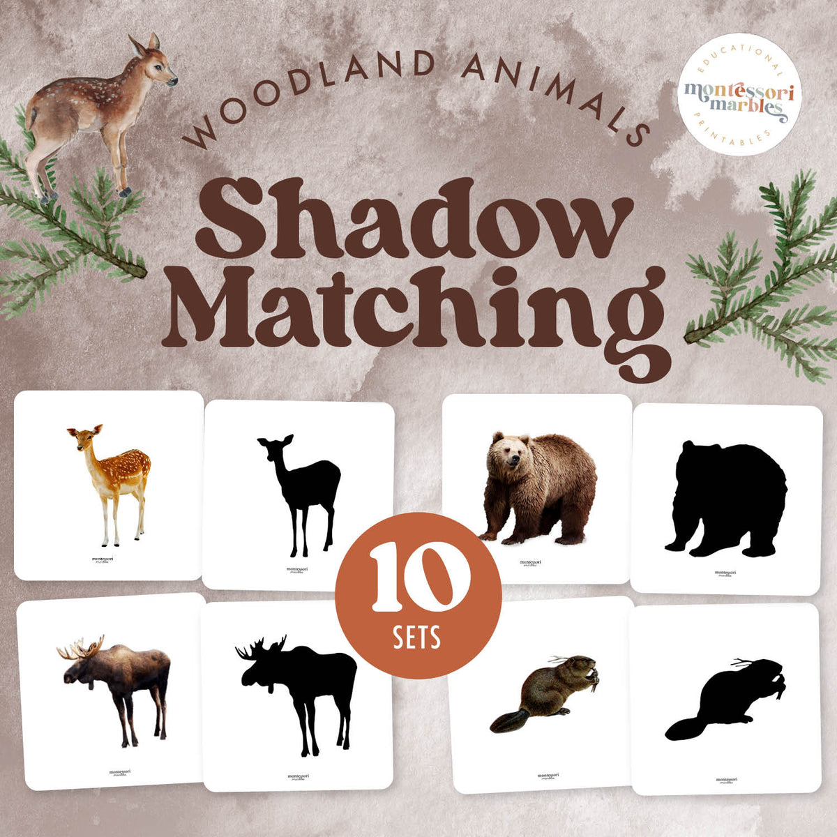 Woodland Animals Shadow Matching | Silhouette Game Ages 3-6 | Forest ...