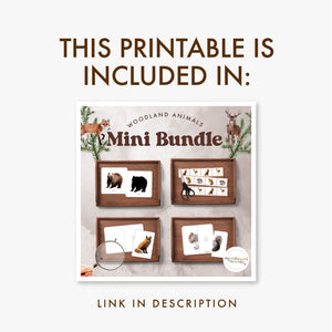 Woodland Animals Cutting Strips | Scissor Practice Ages 2-5 | Fine ...