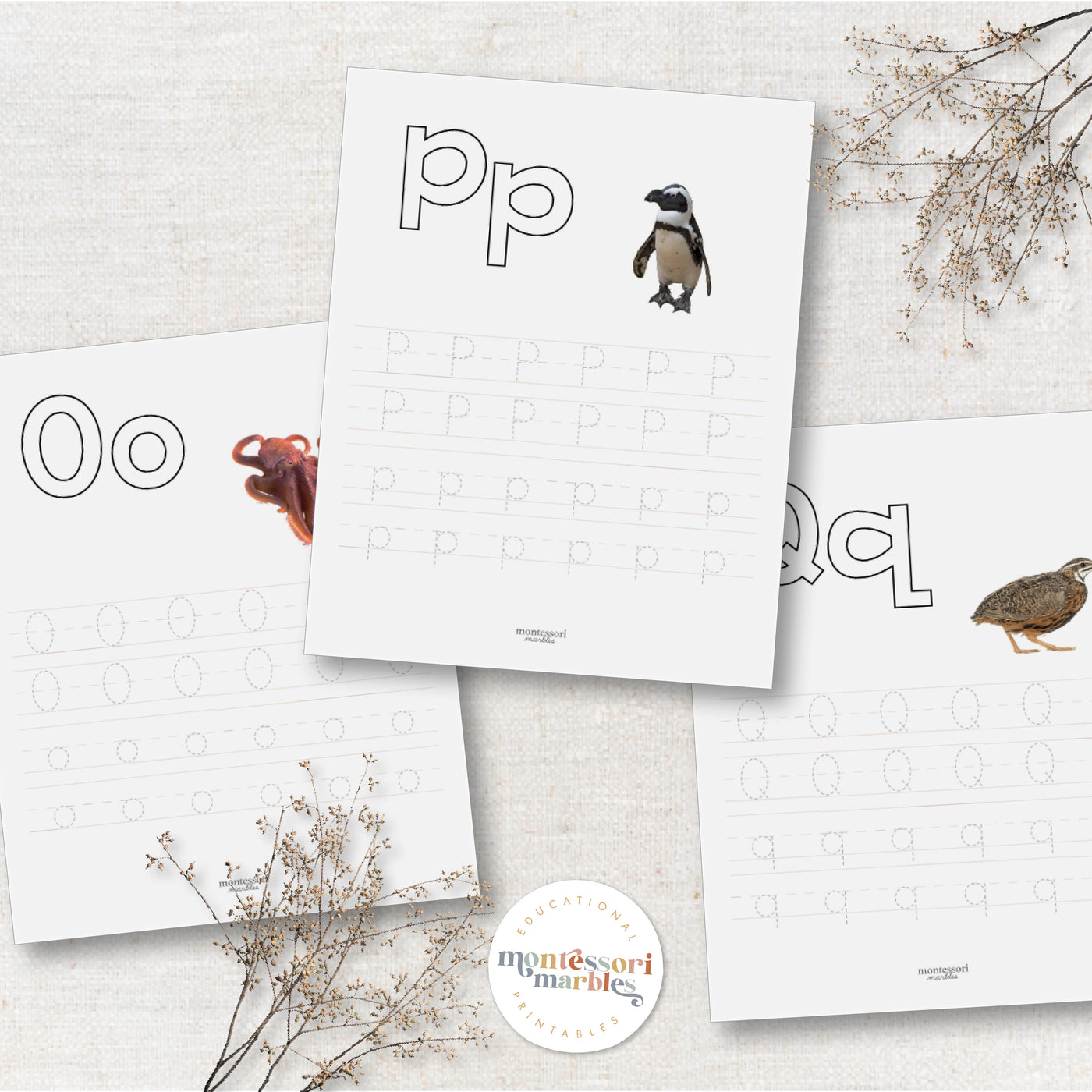 Beginning Sounds Workbook | Phonics Practice Ages 4-6 Letter Sounds PDF ...