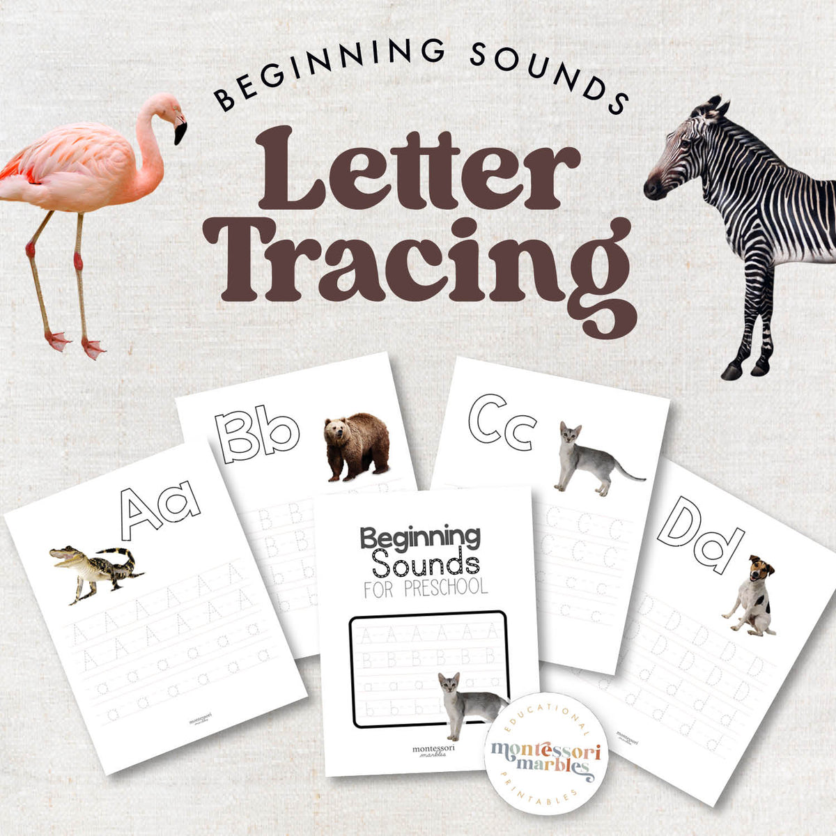 Beginning Sounds Workbook | Phonics Practice Ages 4-6 Letter Sounds PDF ...