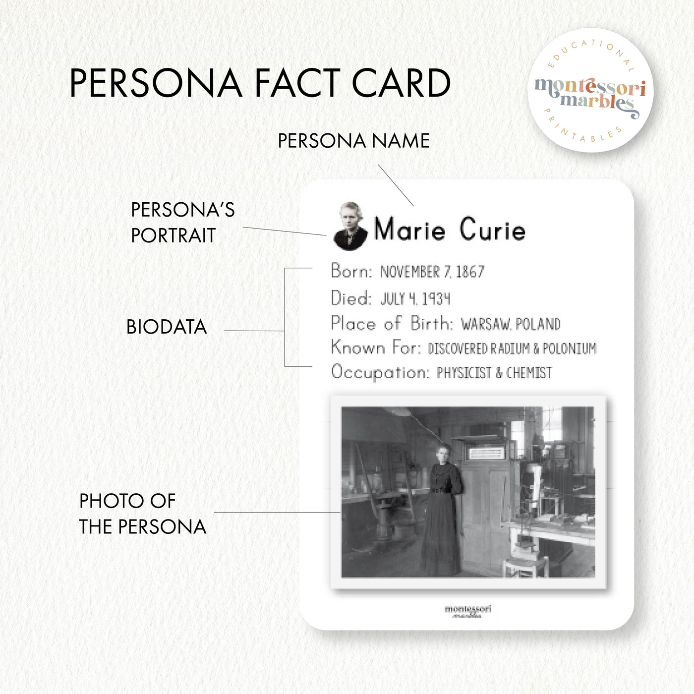 Women's History Month Fact Cards | 36 Famous Women Ages 6-12 Learning ...