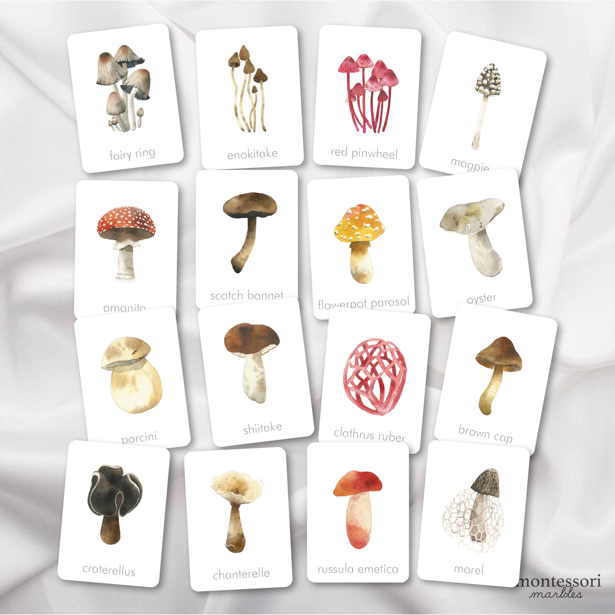 Mushroom Flash Cards | Montessori Printable Flash Cards – Montessori ...