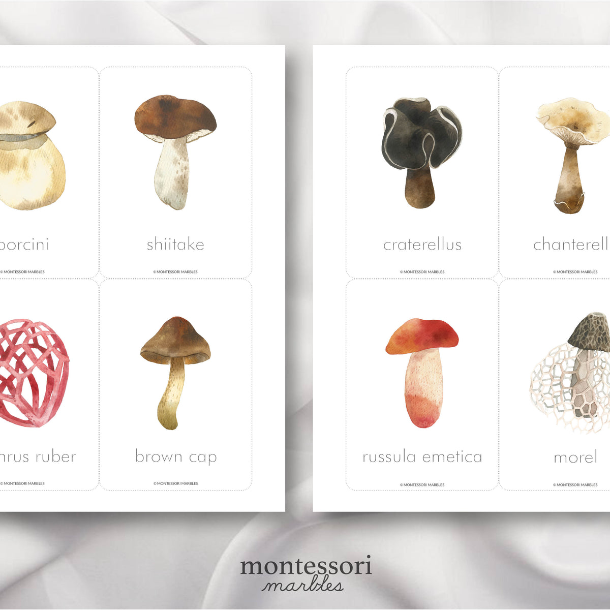 Mushroom Flash Cards | Montessori Printable Flash Cards – Montessori ...