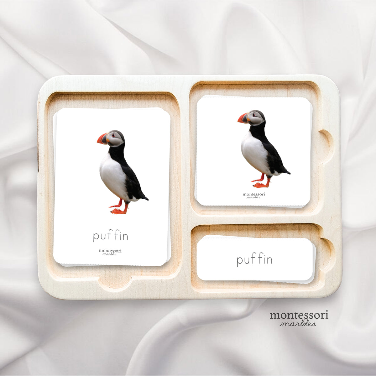 Polar Animals Nomenclature Cards | Montessori Inspired Printables ...