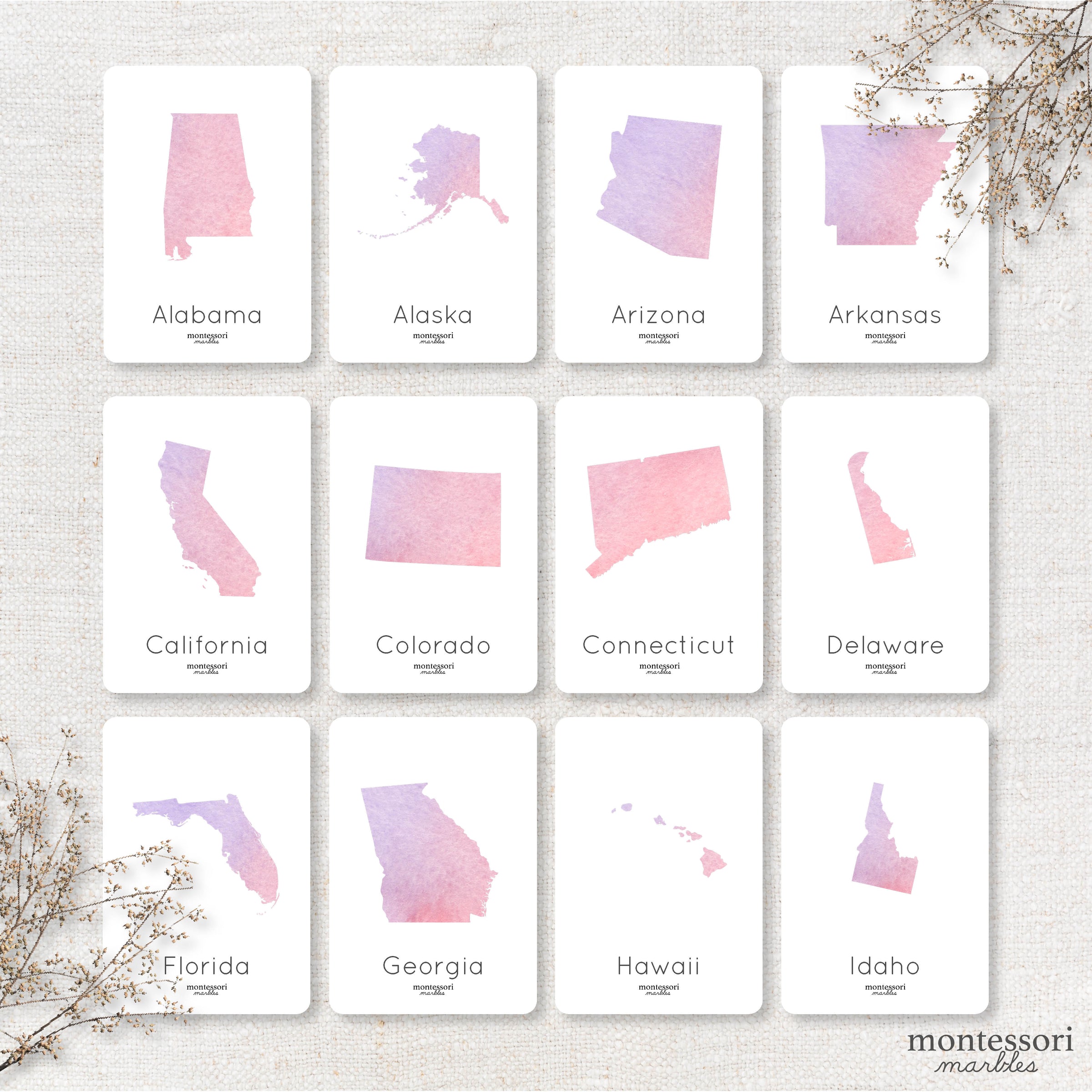 United States Flash Cards | 50 States Geography Ages 5-10 Watercolor ...