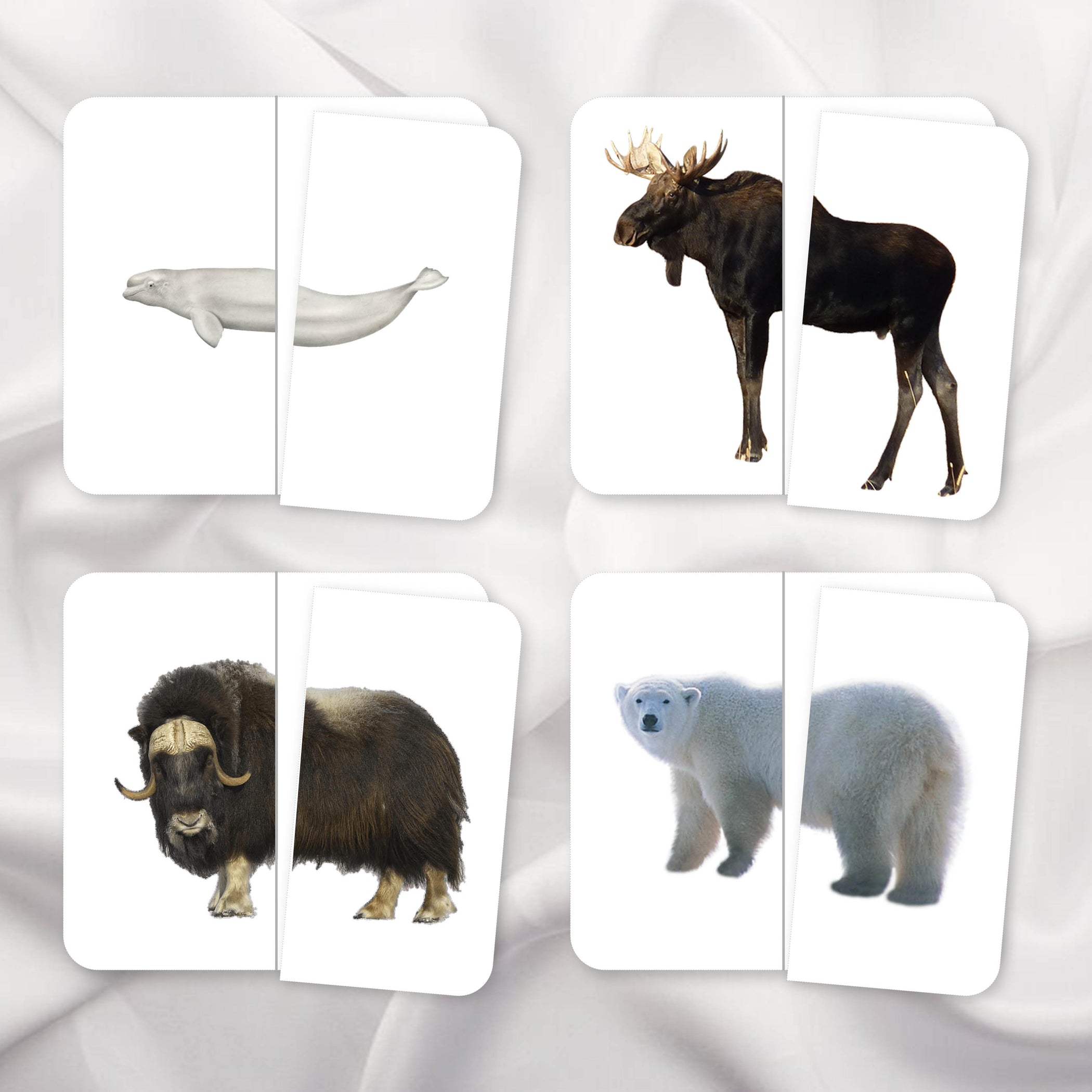 Polar Animals Mini Bundle | 4 Activities Toddler PreK Ages 2-6 PDF ...